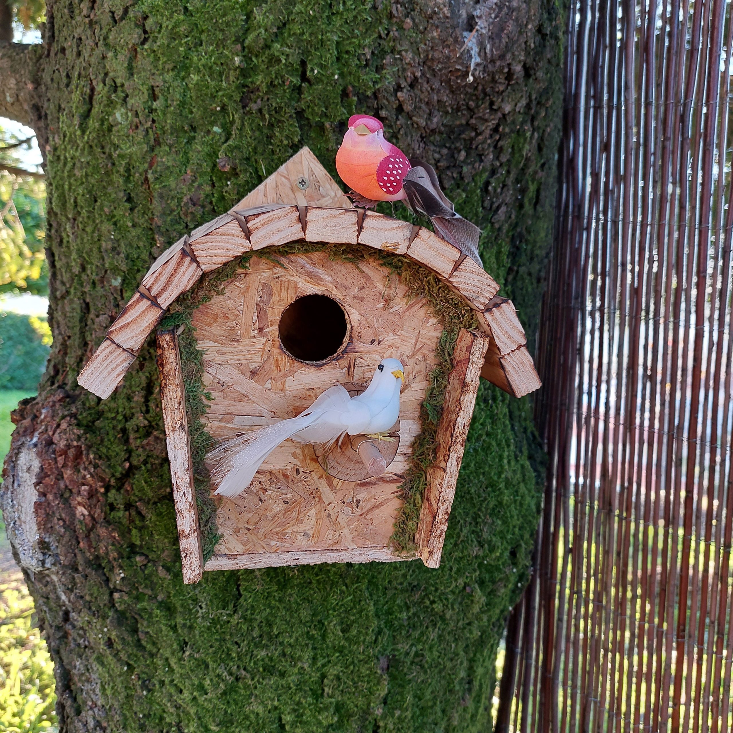 Bird House Outdoor Wooden Nest - PadaWorks