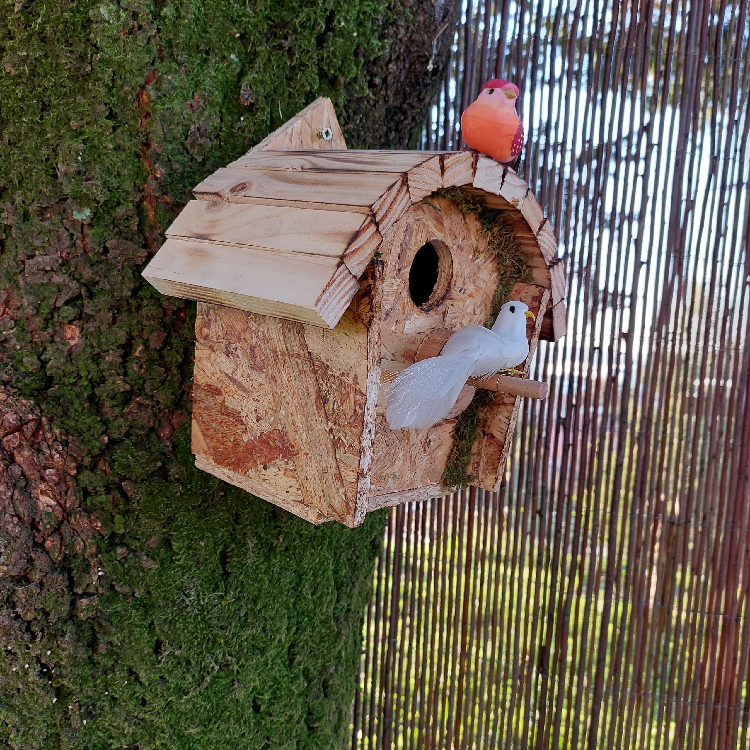 Bird House Outdoor Wooden Nest - PadaWorks
