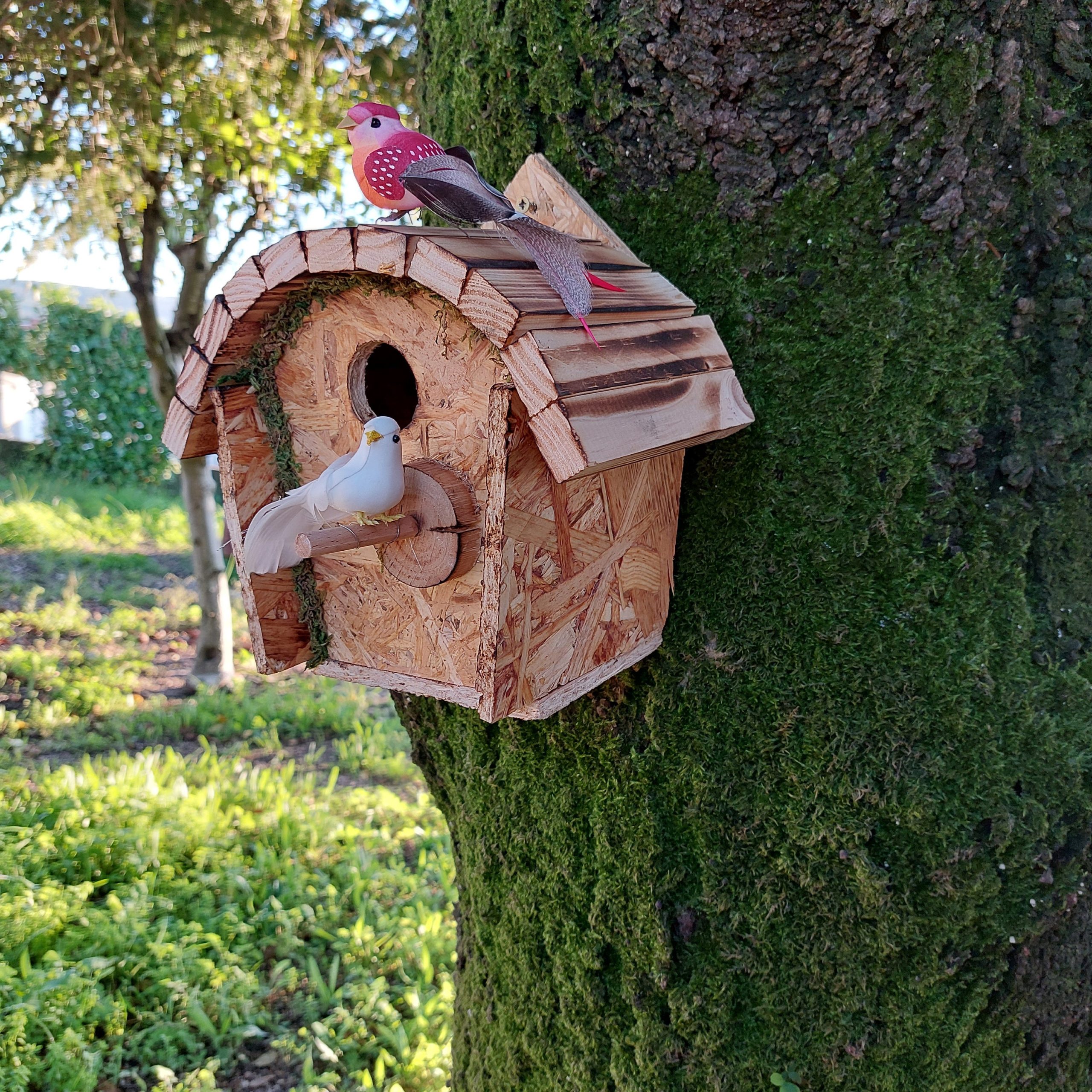 Bird House Outdoor Wooden Nest - PadaWorks
