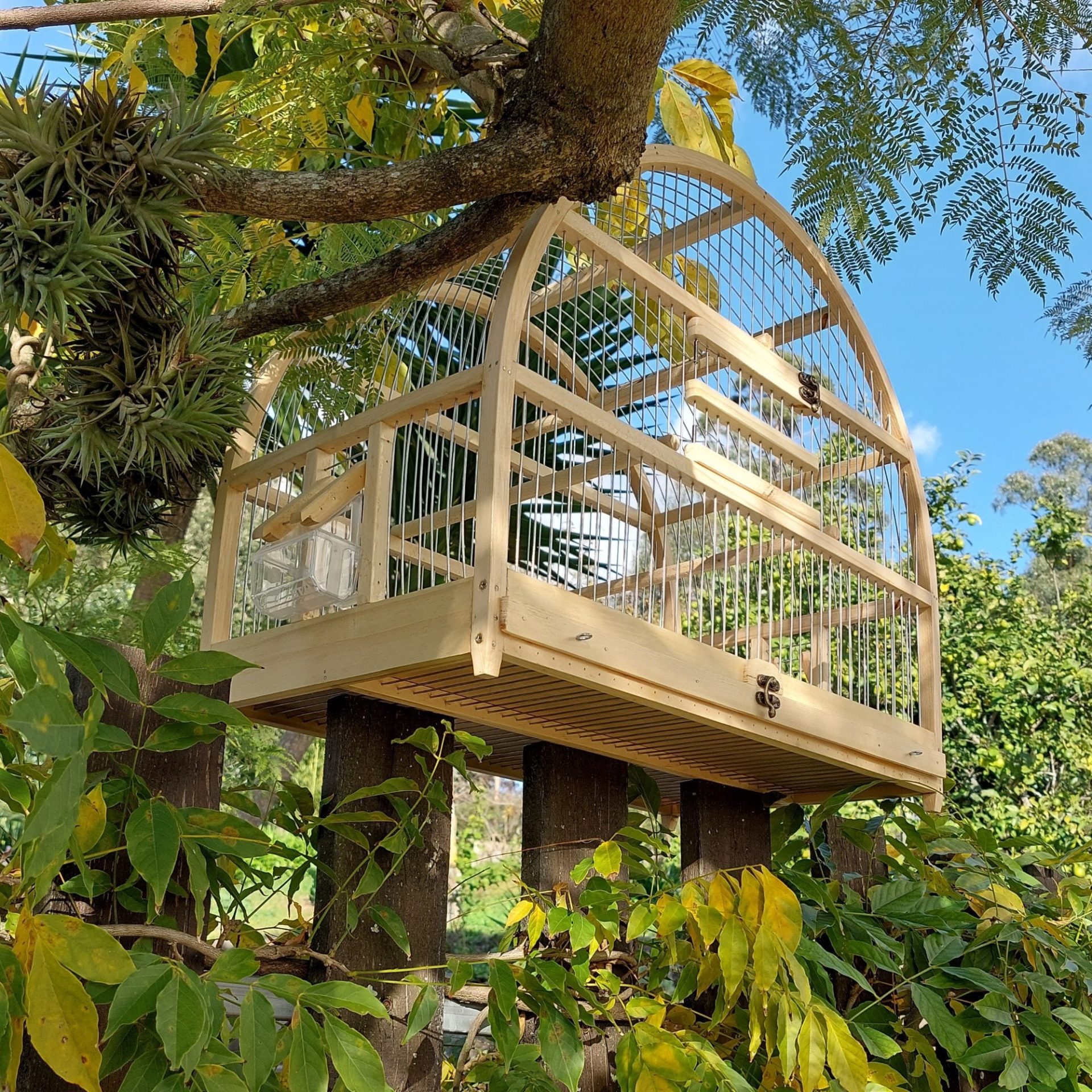 Large Oval Bird Cage - Natural Wood - PadaWorks