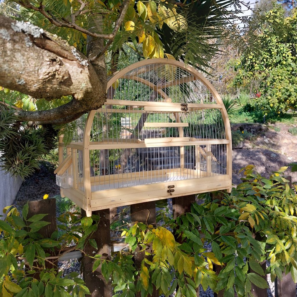 Large Oval Bird Cage - Natural Wood - PadaWorks