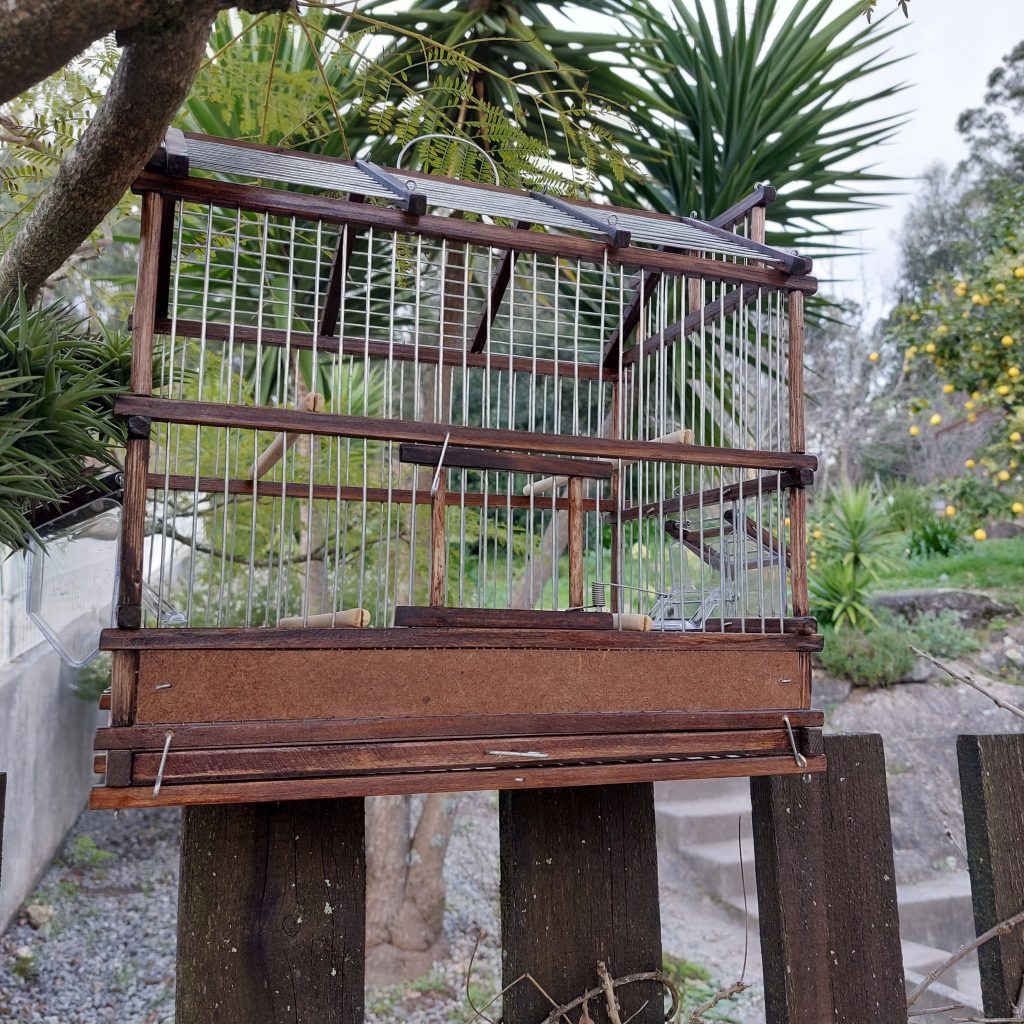Vintage Bird Cage - Brown Recycled Wood - PadaWorks