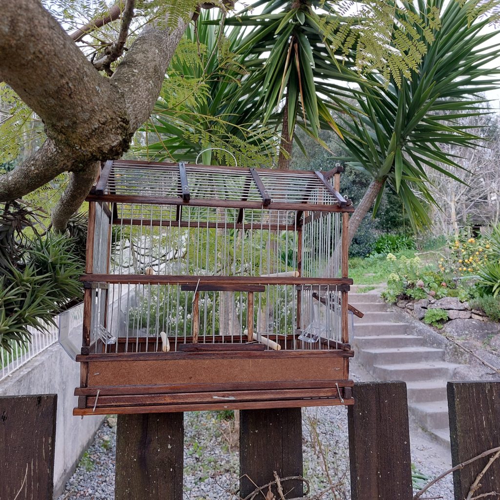 Vintage Bird Cage - Brown Recycled Wood - PadaWorks