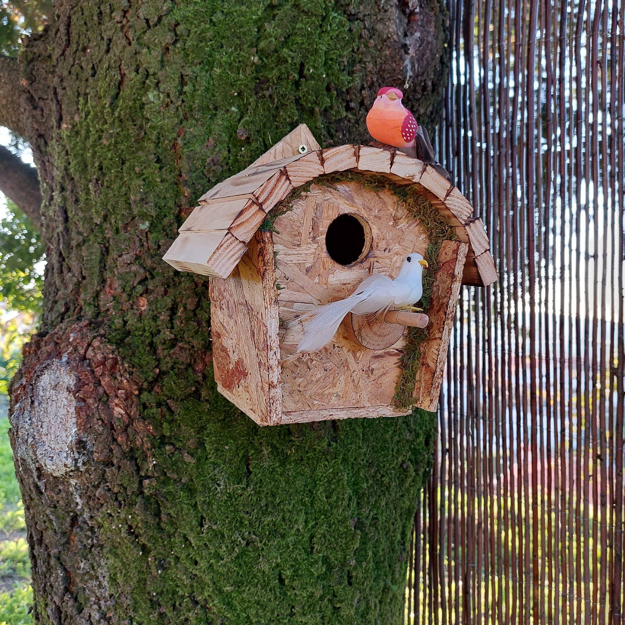 Bird House Outdoor Wooden Nest - PadaWorks