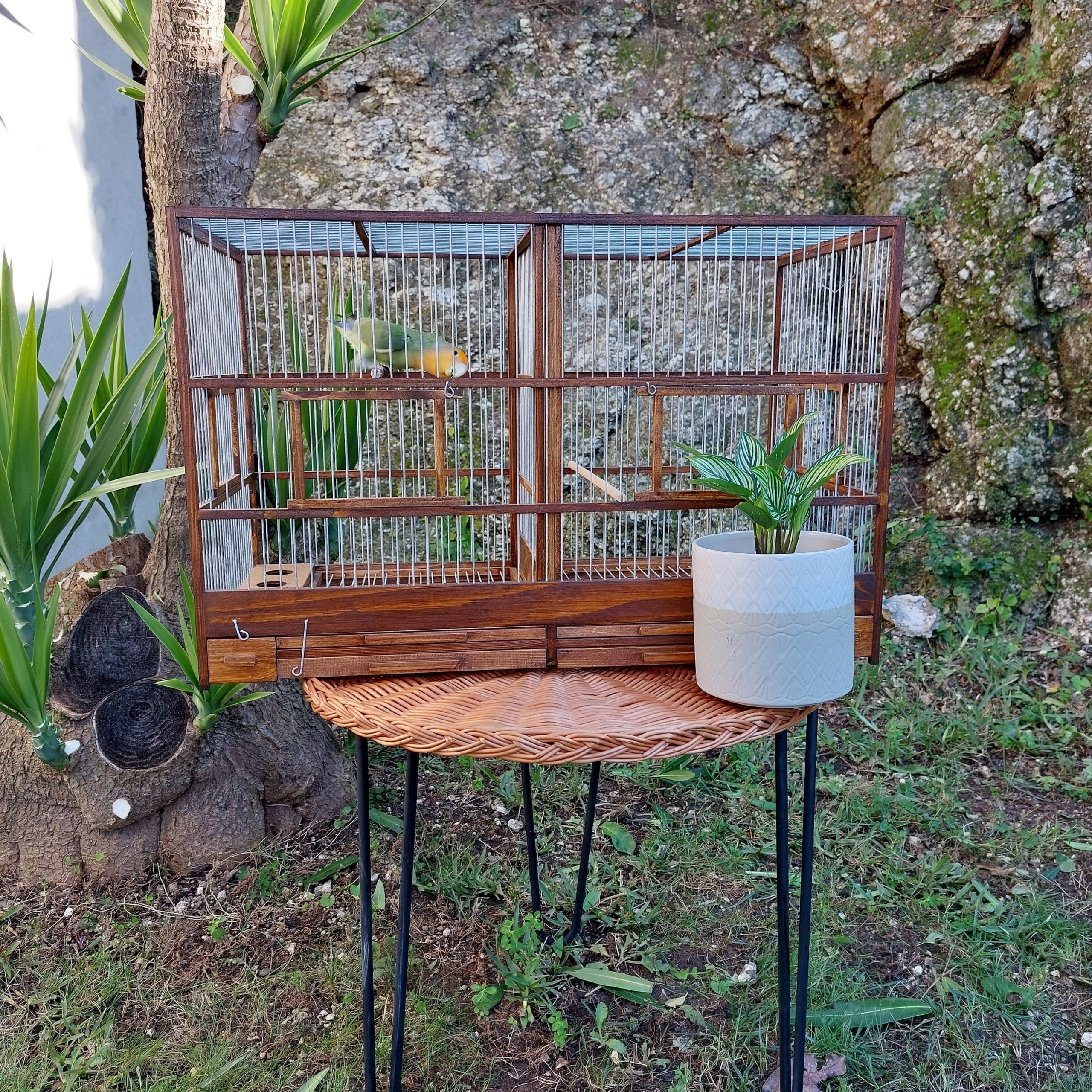 Large Rectangular Bird Cage - Brown - PadaWorks